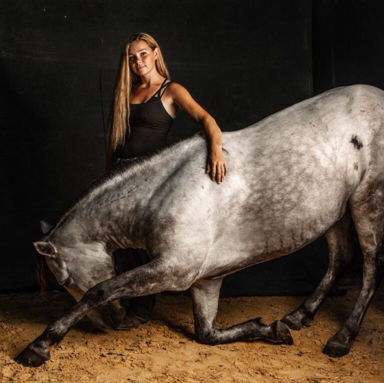 Events – Silver Brook Stables